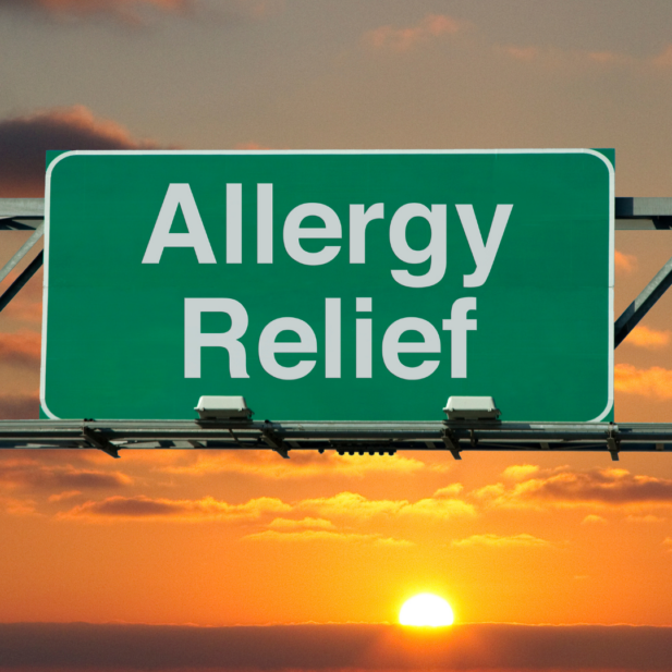How Allergy Medications Work: Advice for Effective Symptom Relief